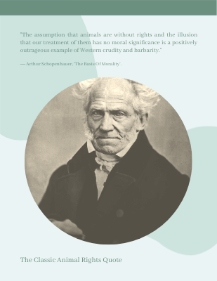 The assumption that animals are without rights and the illusion that ...