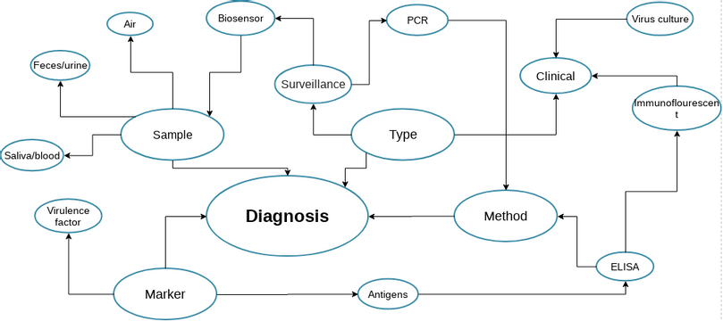 Blob diagram - Diagnosis (Biosensor) | Visual Paradigm User-Contributed ...